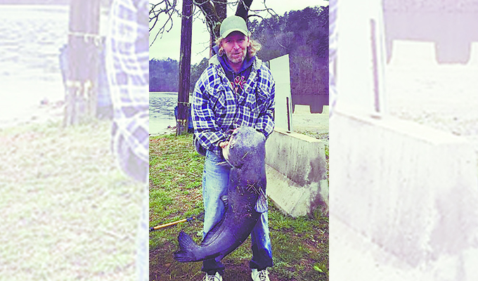 Worlds Biggest Blue Cat Blue Catfish Wikipedia