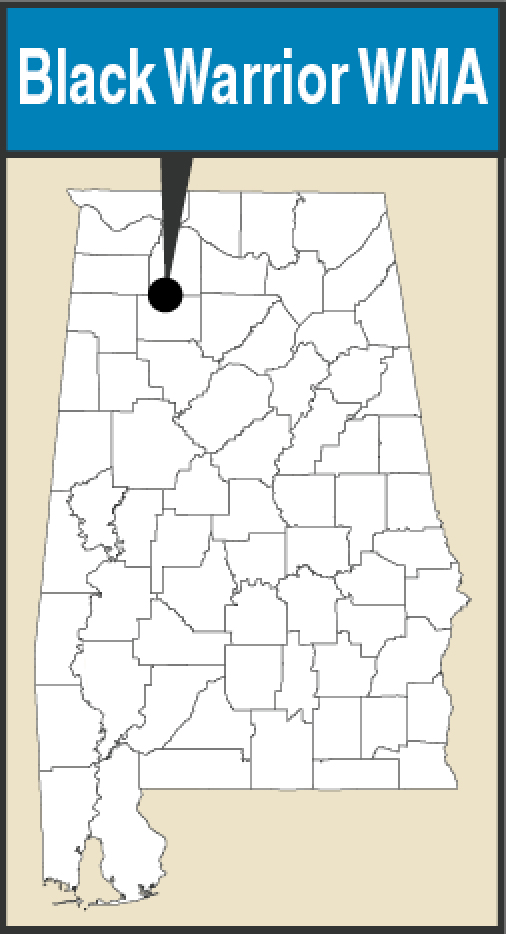 Black Warrior Wma Map